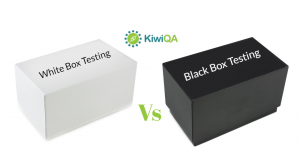 Difference Between Black Box Testing Vs. White Box Testing
